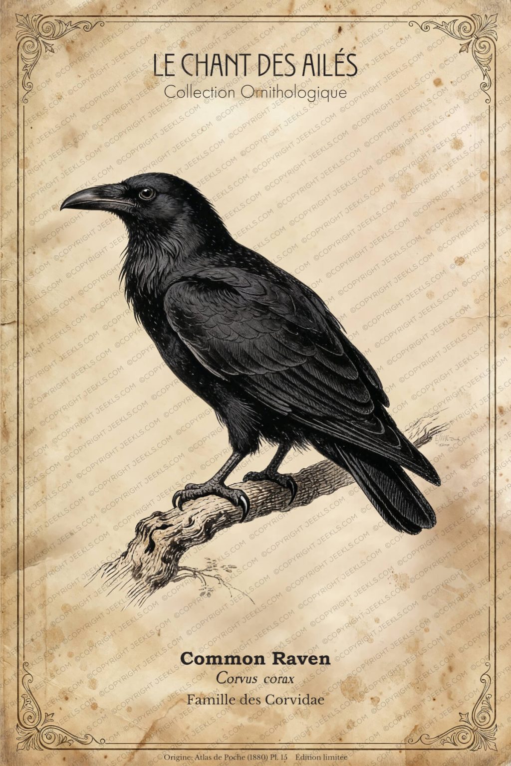 Vintage Raven Art Poster Digital Edition PDF - Jeekls.com